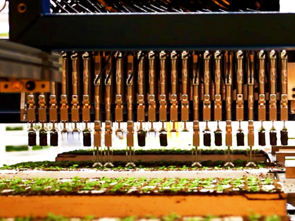 plainview-growers-plant-plugs-pro-allamuchy-nj-young-greenhouse ...